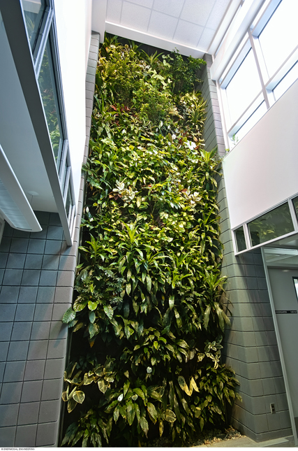 Teaching Green - Building