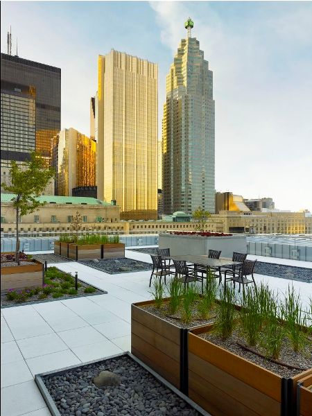 Telus House - Building