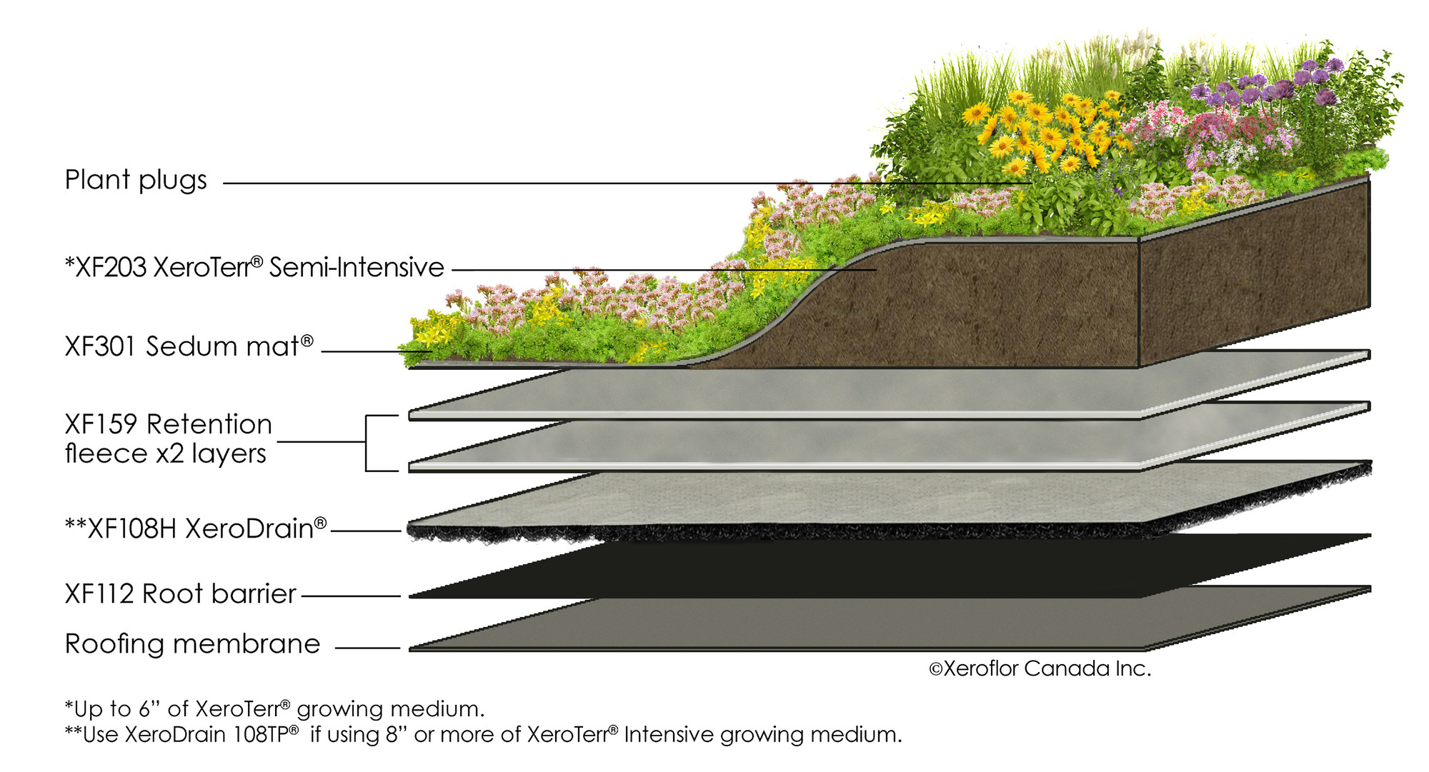 Xeroflor Canada Inc-Minimalist Green Roof Achieves Purpose - Building