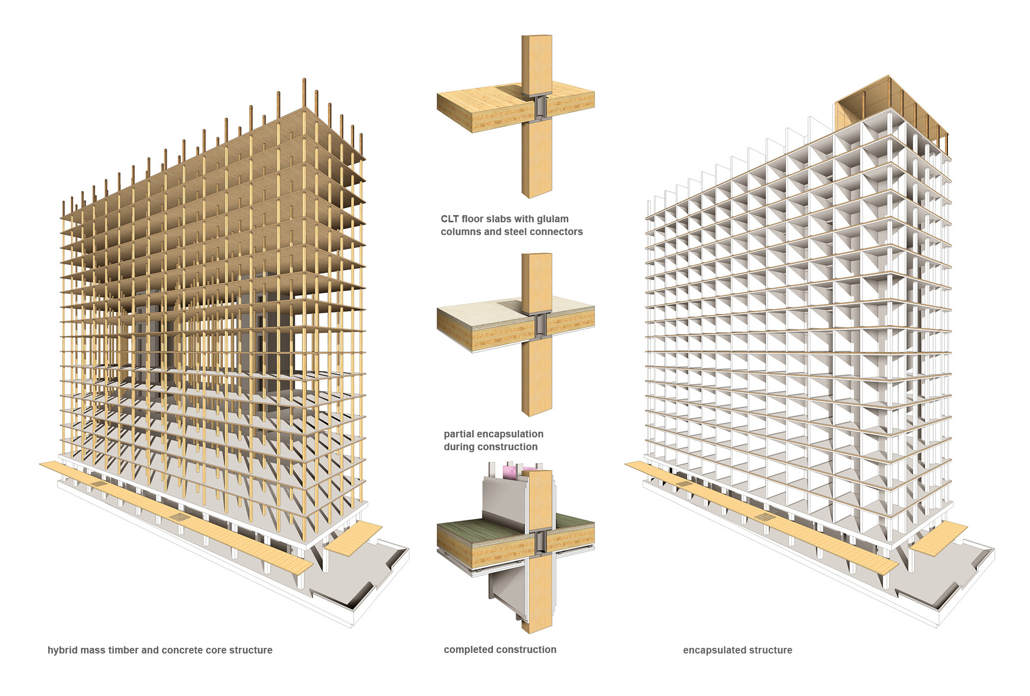twr-mass-timber-structure-encapsulation - Building