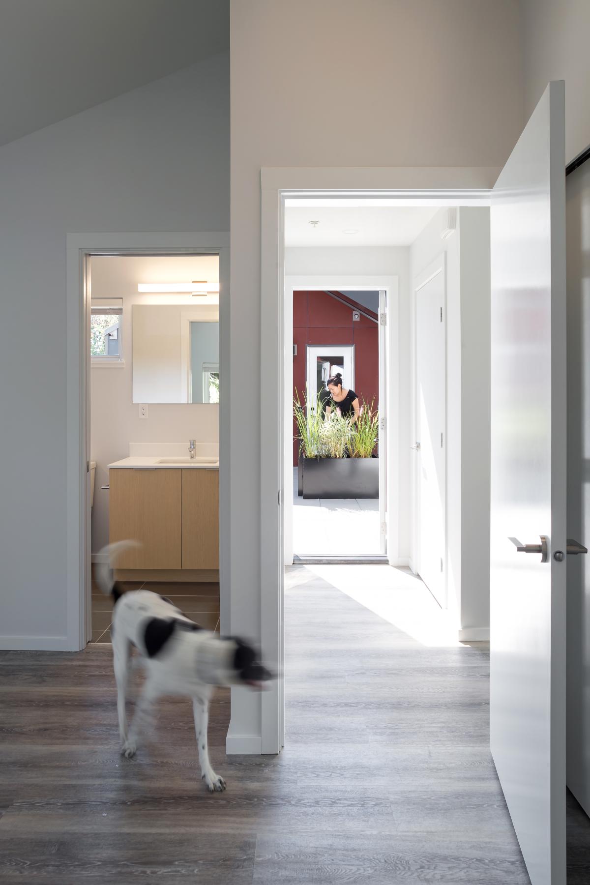 Infill Housing Project - Building