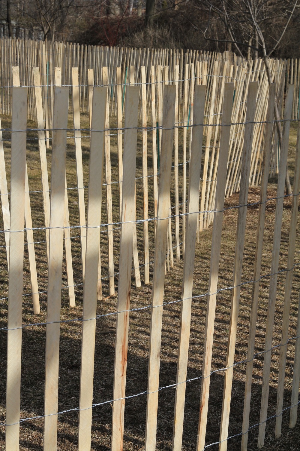 Photo credit: Gerald Allain - Building