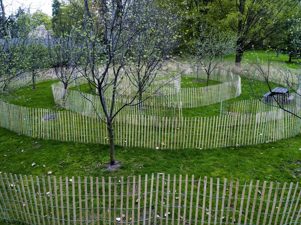 51525-preview_low_3882-1_51525_sc_v2com - Building