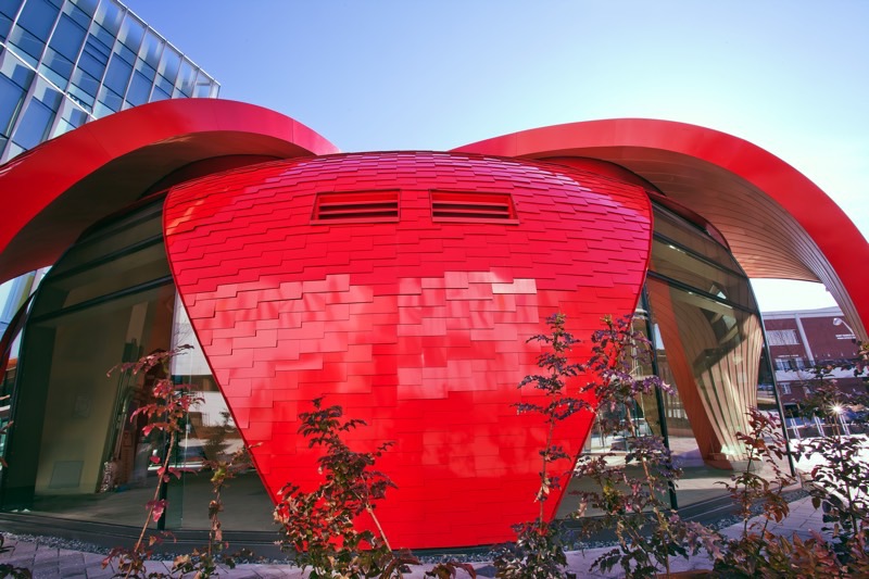 The Red Petal Pavilion - Building