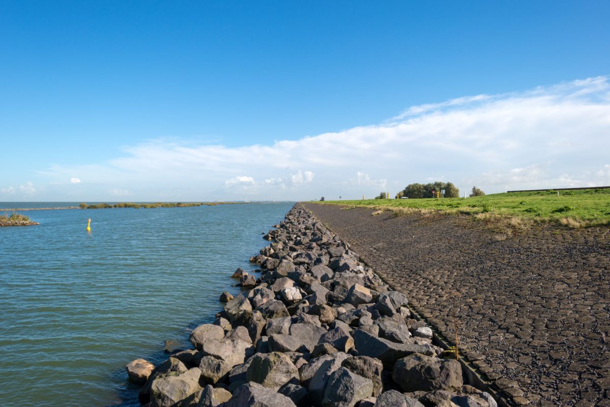 Dams, Dikes and Dismay - Building