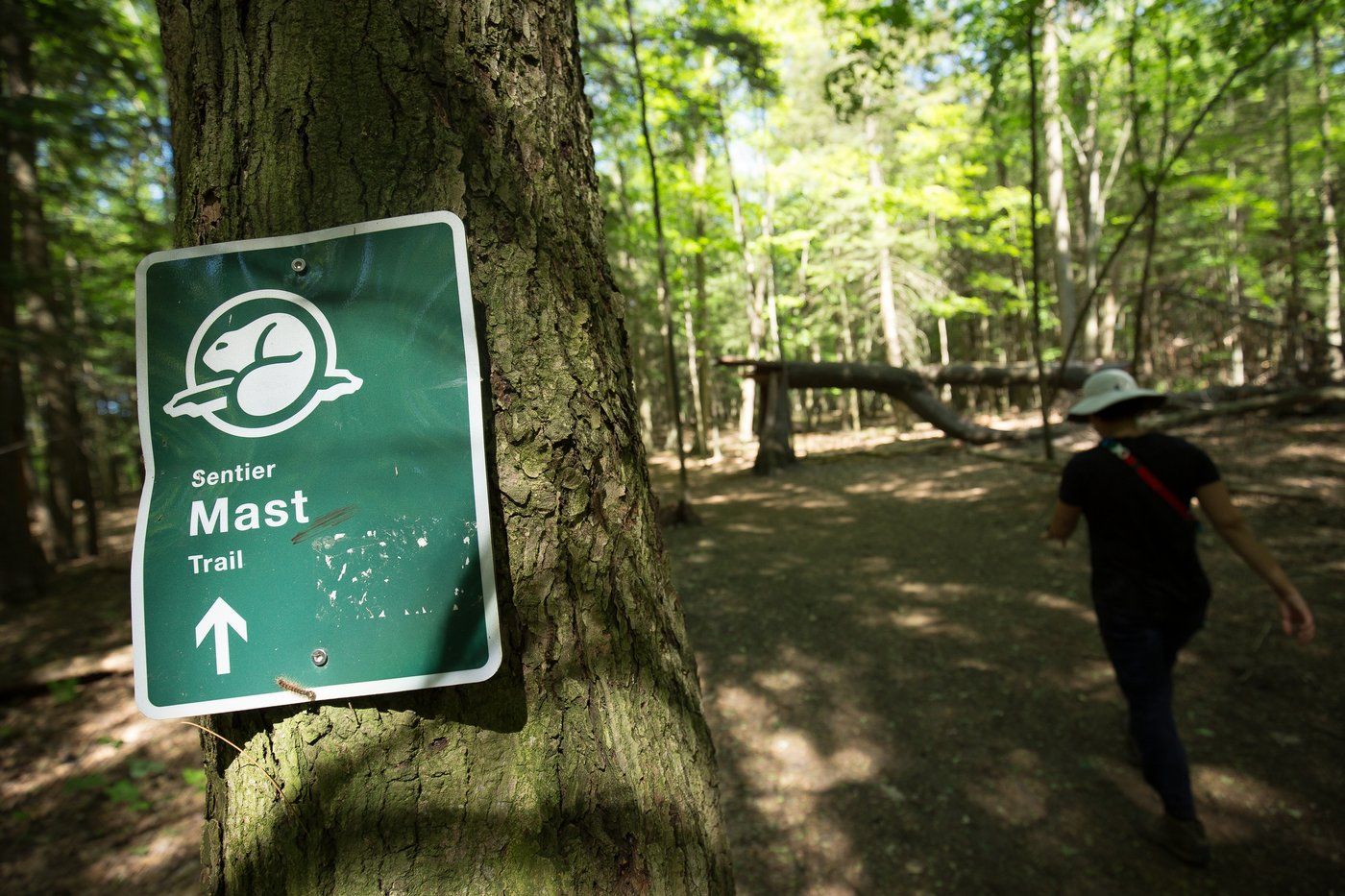Ottawa pledges improvements for Rouge National Urban Park and beach in ...
